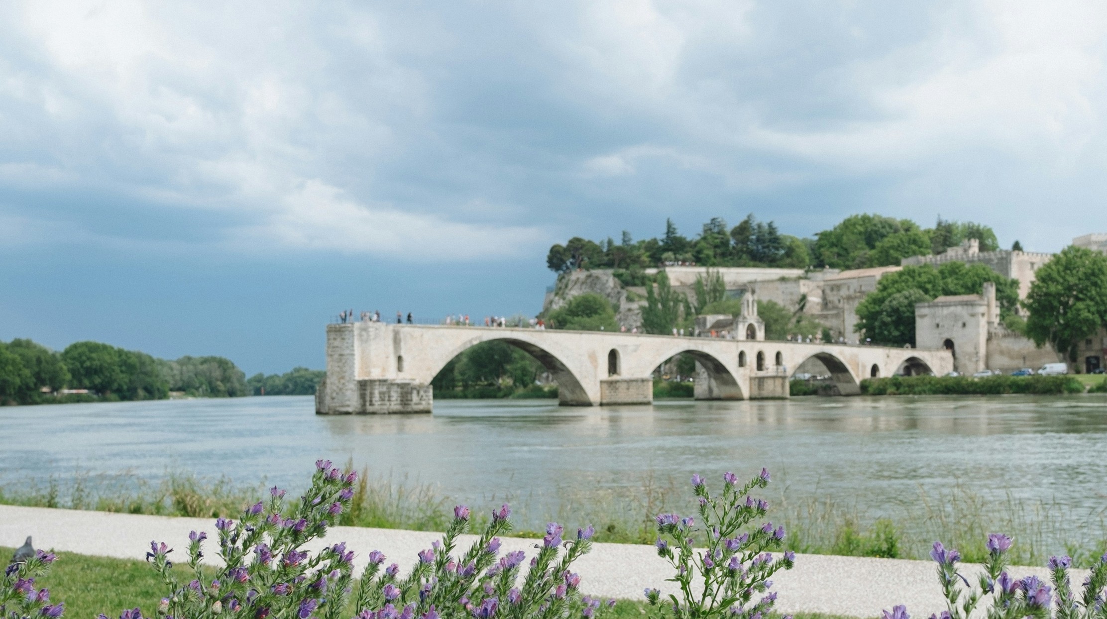 Revealing Fish Biodiversity in a 500 km River (Rhône River) - SPYGEN