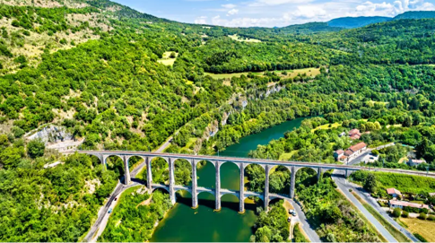 Decoding River Life: Seasonal Fish Pattern Highlighted With eDNA - SPYGEN