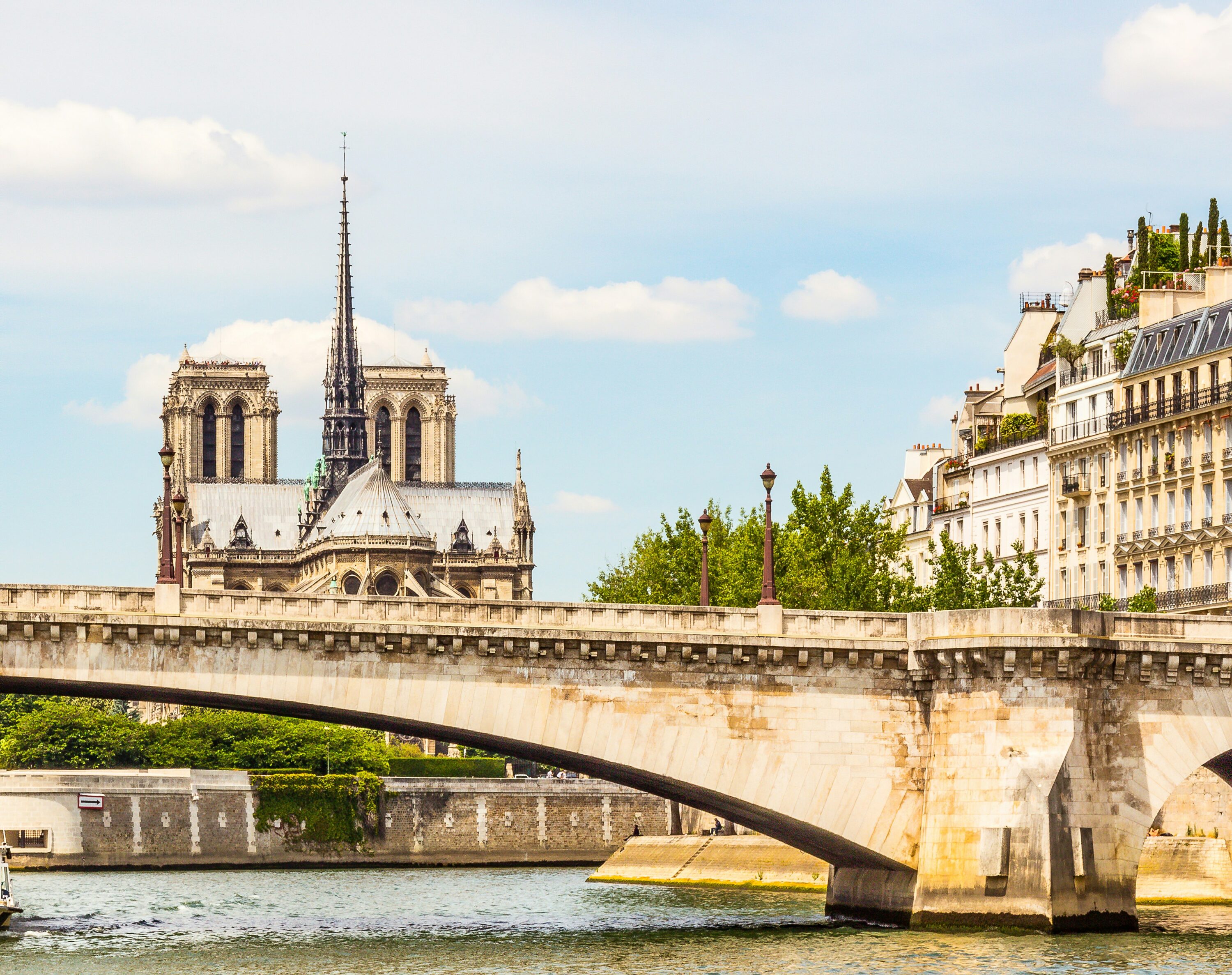 À La Découverte d’un Mollusque Rare et Menacé au Cœur de Paris - SPYGEN